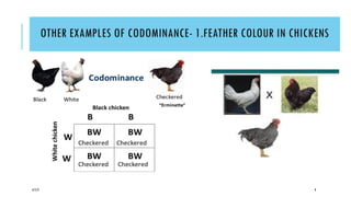 Plant Cytogenetics:Codominace ppt | PDF