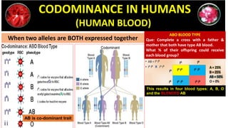 Codominance | PPTX