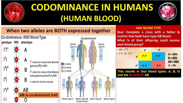 Codominance | PPTX