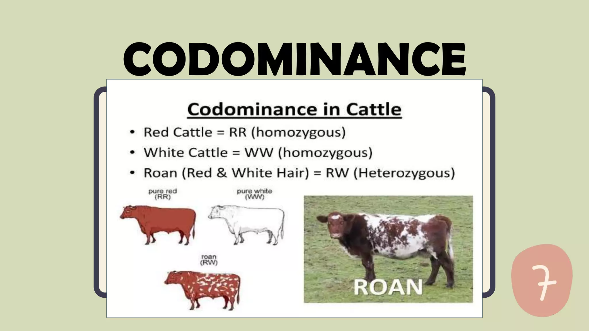 CODOMINANCE.pptx