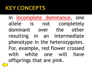 NON MENDELIAN GENETICS. SCIENCE 9 codominance.pptx