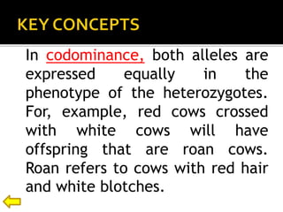 NON MENDELIAN GENETICS. SCIENCE 9 codominance.pptx