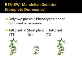 NON MENDELIAN GENETICS. SCIENCE 9 codominance.pptx