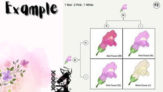 Co dominance ppt, index,alleles , example of codominance.. | PDF