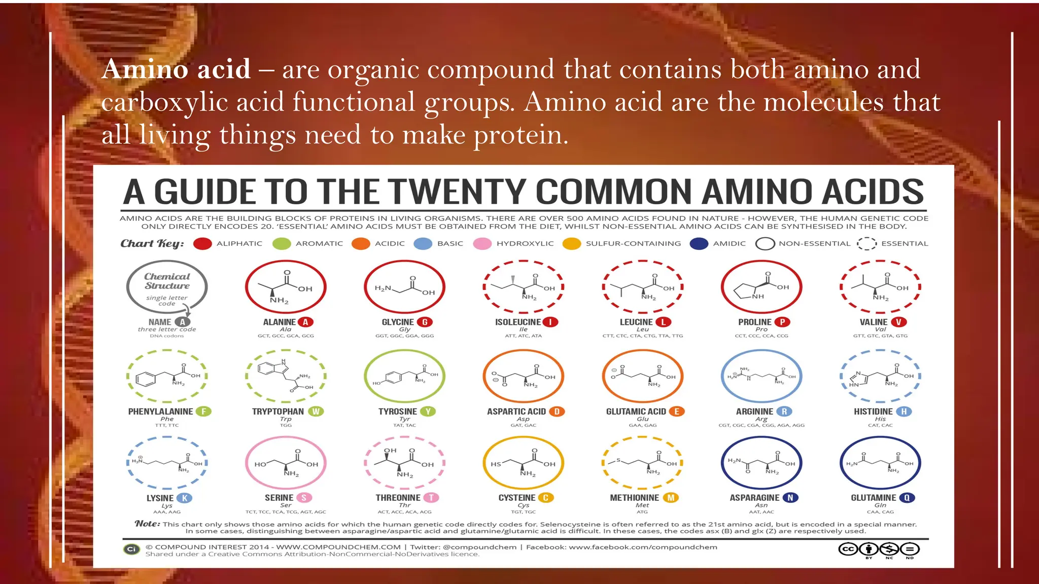 codon-and-amino-acid-presentatiooon.pptx