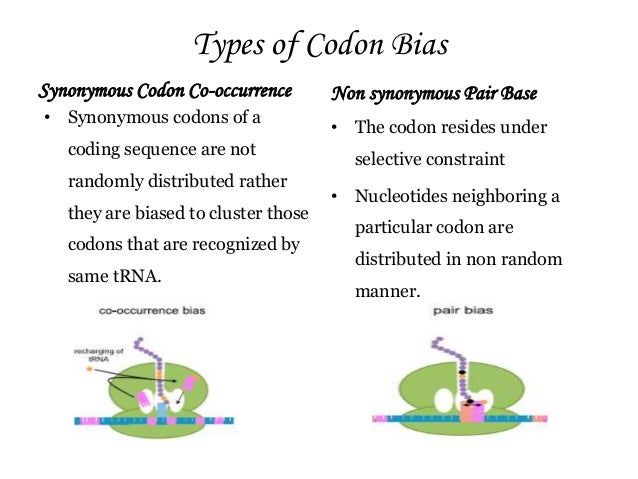 Codon bias as a means to fine tune gene