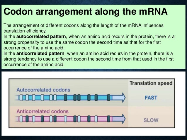 best presentation on codon bias and its appliaction