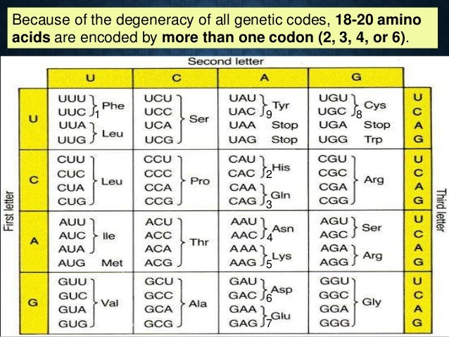 best presentation on codon bias and its appliaction