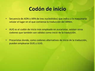 Codones inicion y terminacion | PPTX