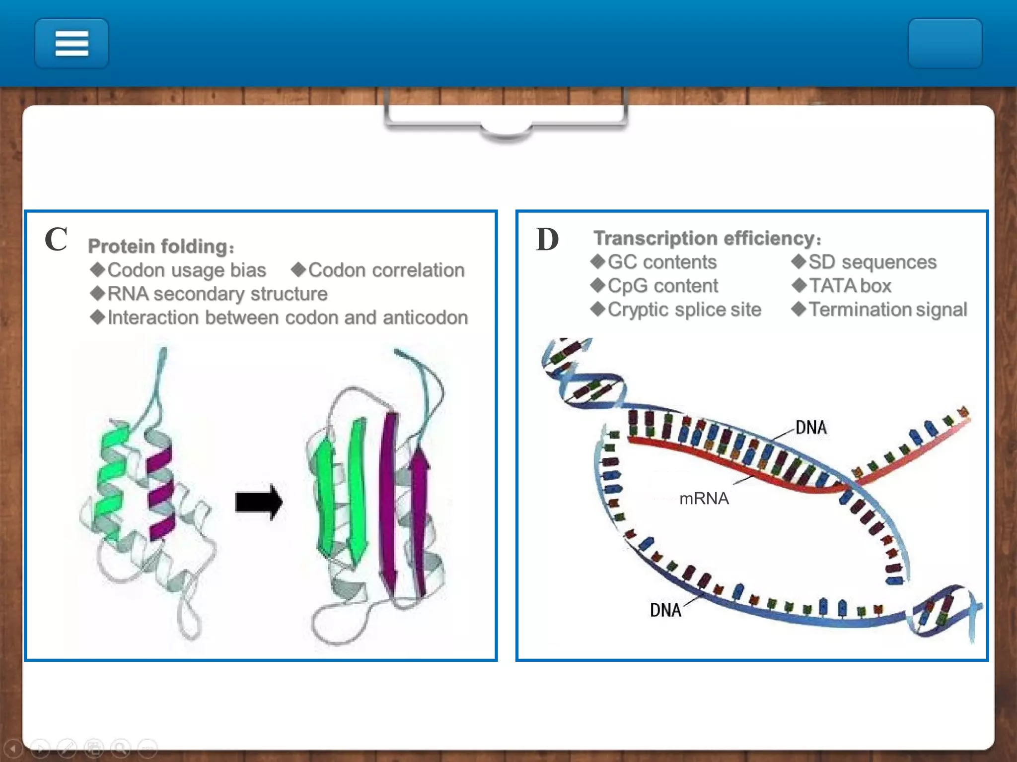 Codon optimization-Creative Biogene | PPT