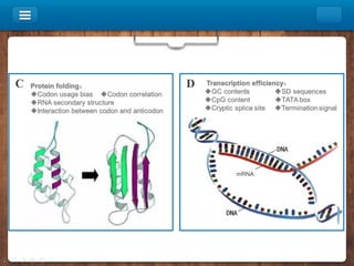 Codon optimization-Creative Biogene | PPT