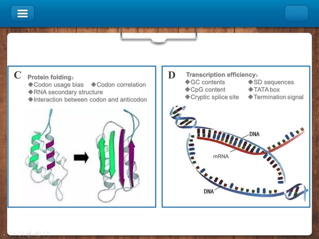 Codon optimization-Creative Biogene | PPT
