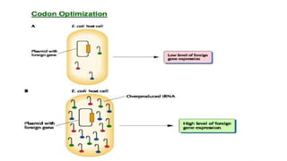 codon_optimization | PPTX