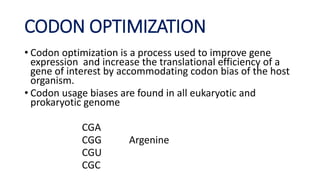 codon_optimization | PPTX