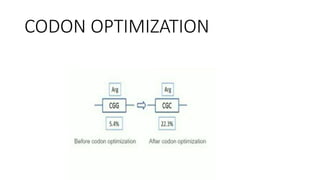 codon_optimization | PPTX