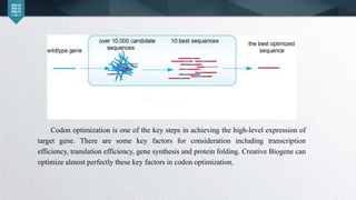 Codons Optimization by Creative Biogene | PPT
