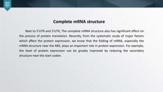 Codons Optimization by Creative Biogene | PPT