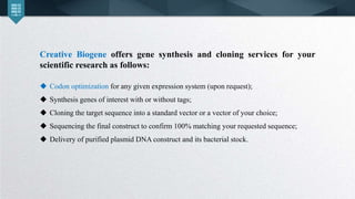 Codons Optimization by Creative Biogene | PPT
