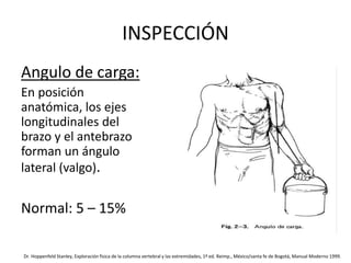 EXPLORACION SEMIOLOGICA DEL CODO.pptx