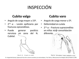 EXPLORACION SEMIOLOGICA DEL CODO.pptx