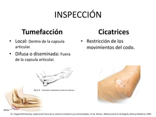 EXPLORACION SEMIOLOGICA DEL CODO.pptx