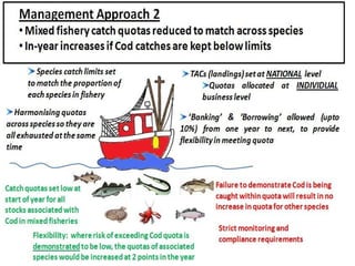 Cod Recovery Plan-Management Options June '12 Presentation | PPT