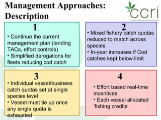Cod Recovery Plan-Management Options June '12 Presentation | PPT