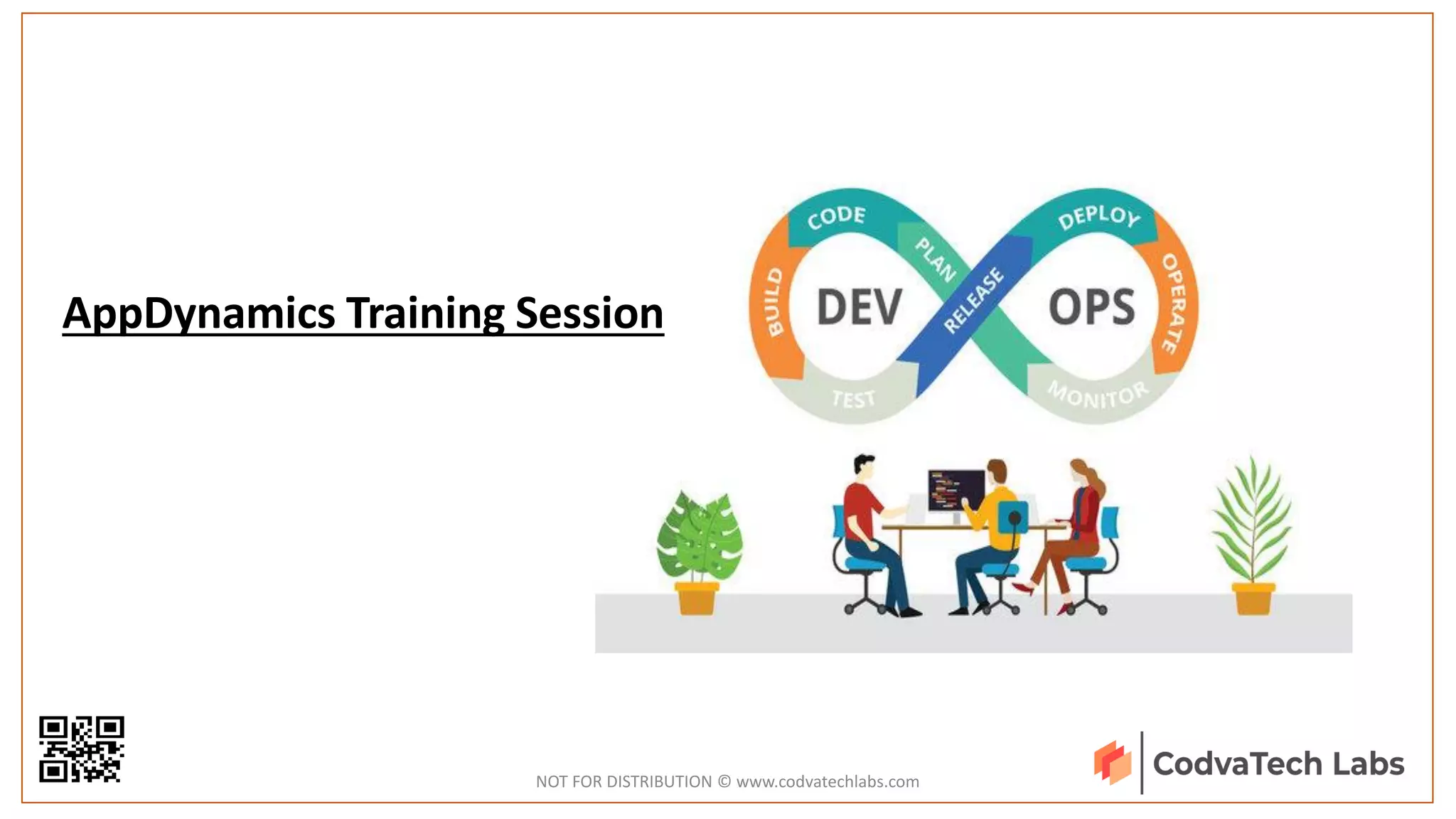 Appdynamics Training Session | PDF
