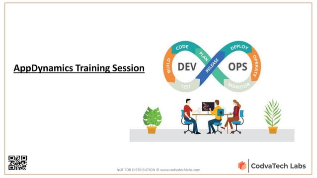 Appdynamics Training Session | PDF