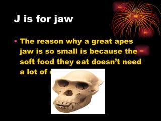 Great Ape Research | PPT