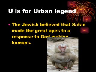 Great Ape Research | PPT