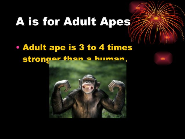 Great Ape Research | PPT