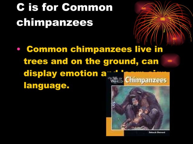 Great Ape Research | PPT