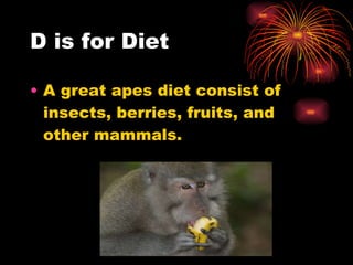 Great Ape Research | PPT