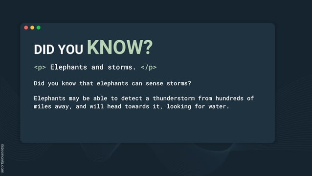 Cody · Slides Mania template presentation | PPT