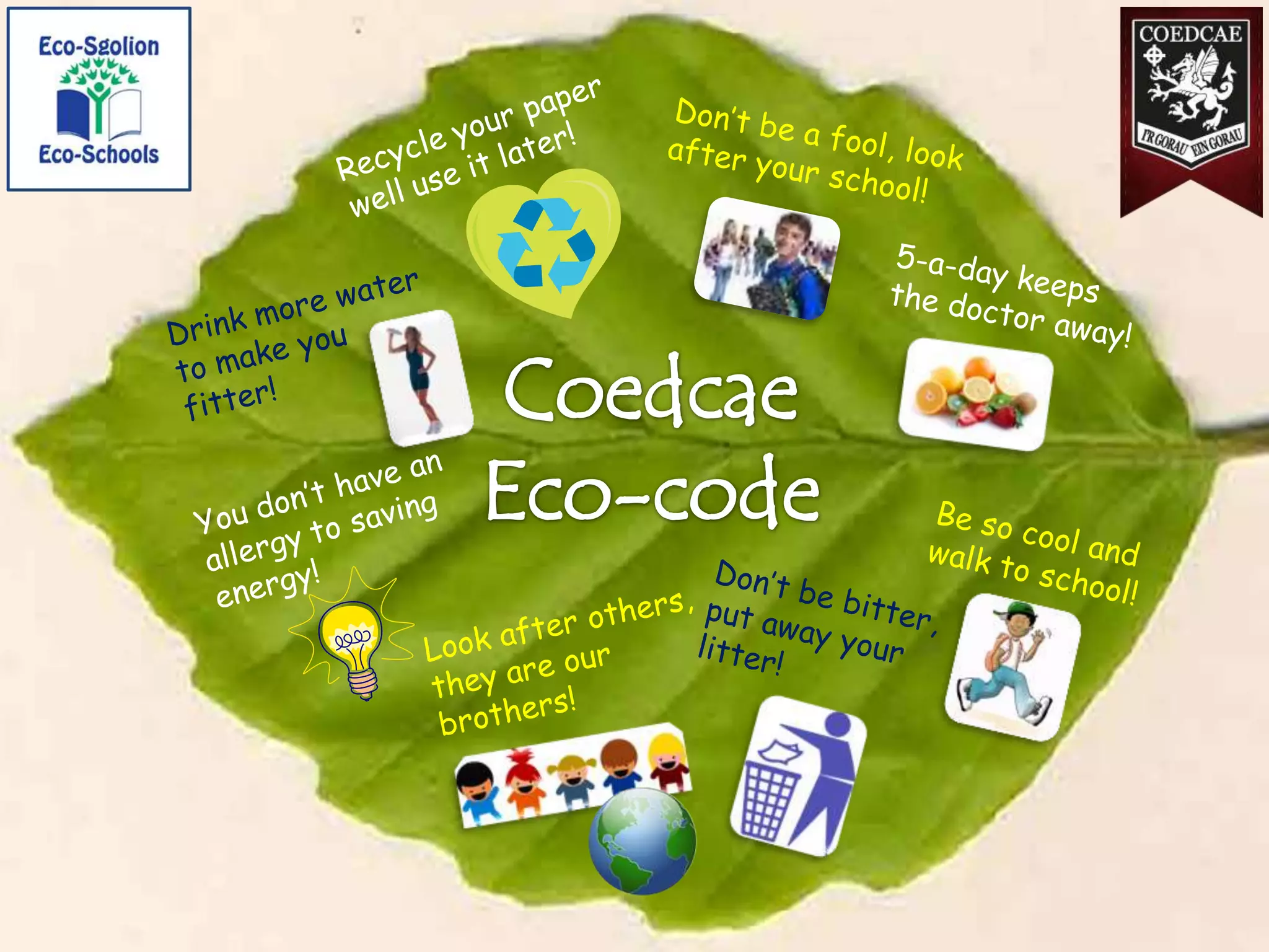 Coedcae eco school website powerpoint | PPTX