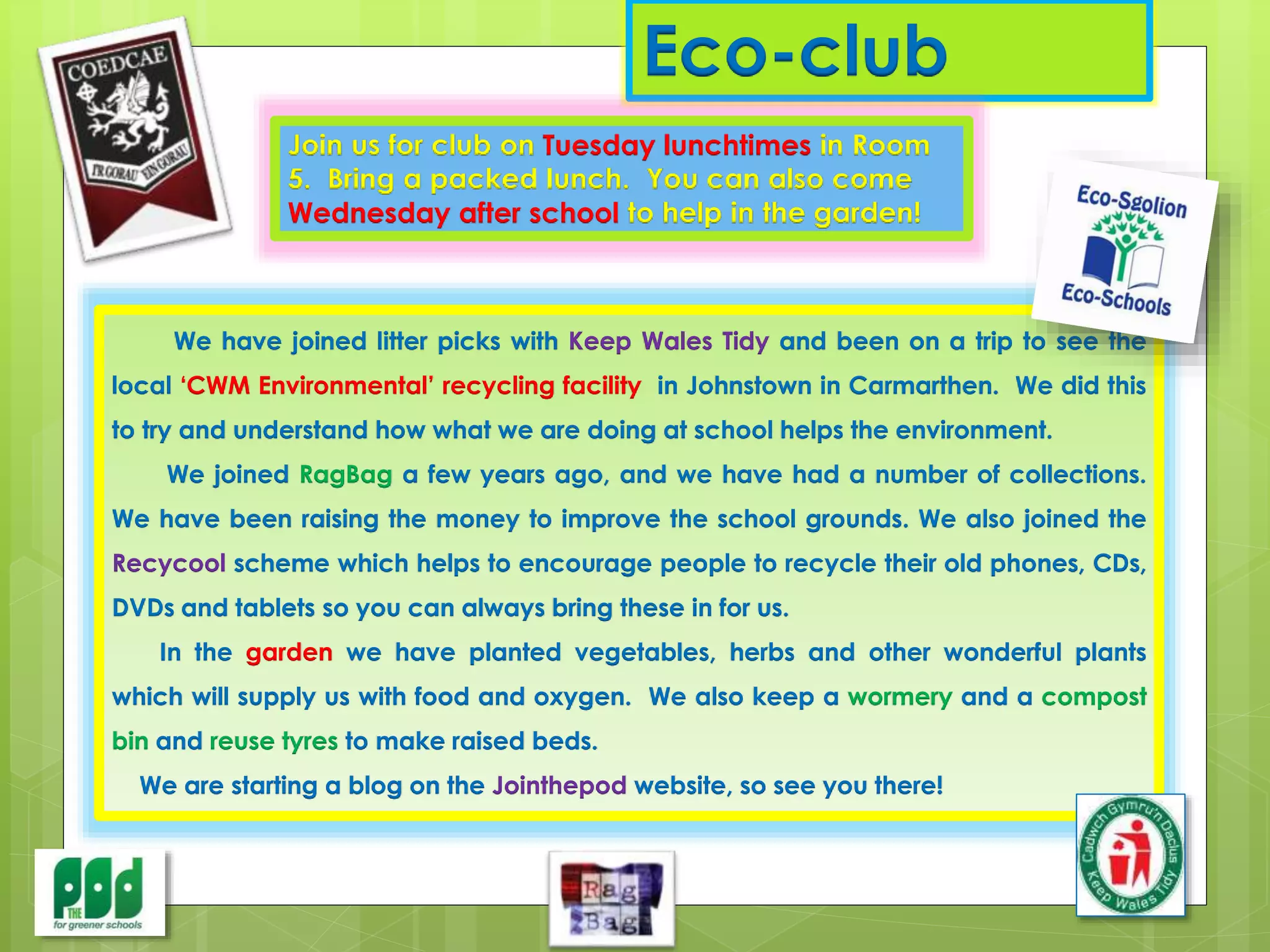 Coedcae eco school website powerpoint | PPTX