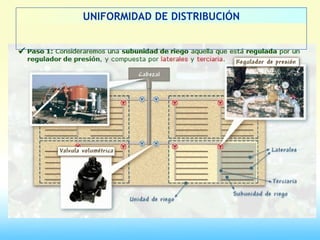 Coeficiente de uniformidad SAR. Cálculopptx | PPTX