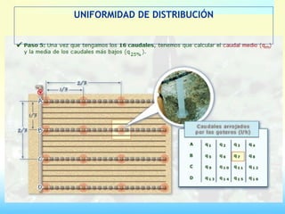 Coeficiente de uniformidad SAR. Cálculopptx | PPTX