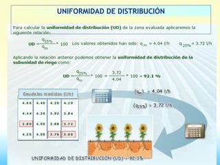 Coeficiente de uniformidad SAR. Cálculopptx | PPTX