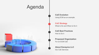 Center of Excellence for Enterprise Content Management: a how-to guide ...