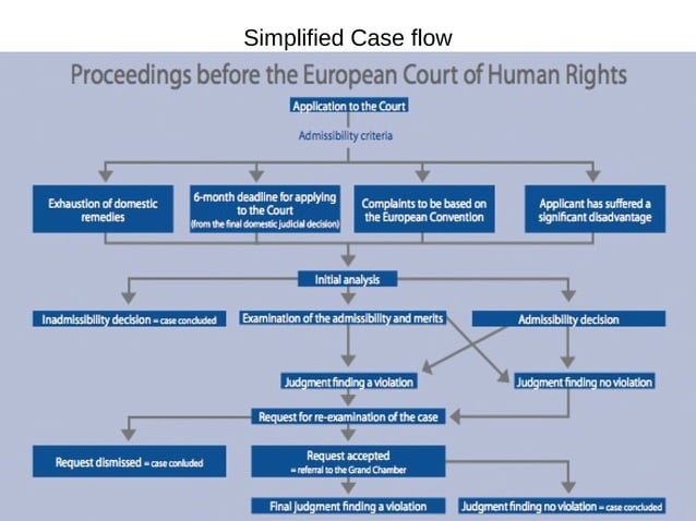 Human Rights Protection System in the Council of Europe - ERRC | PPT