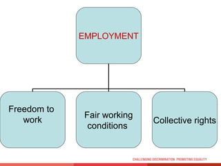 Human Rights Protection System in the Council of Europe - ERRC | PPT