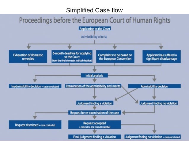 Human Rights Protection System in the Council of Europe - ERRC