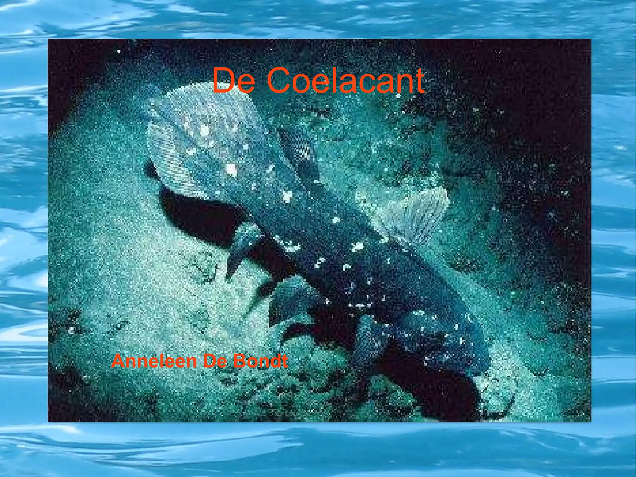 Coelacant v1.1 | PPT