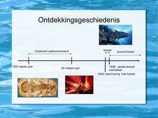Coelacant v1.1 | PPT