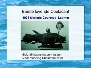 Coelacant v1.1 | PPT