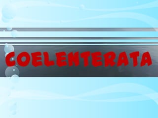 Coelenterata | PPTX