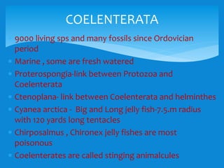 Coelenterata general characters & classification | PPTX