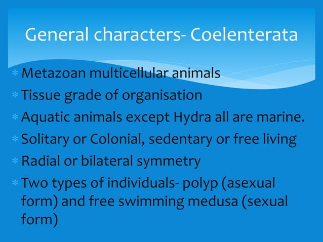 Coelenterata general characters & classification | PPTX | Biological ...